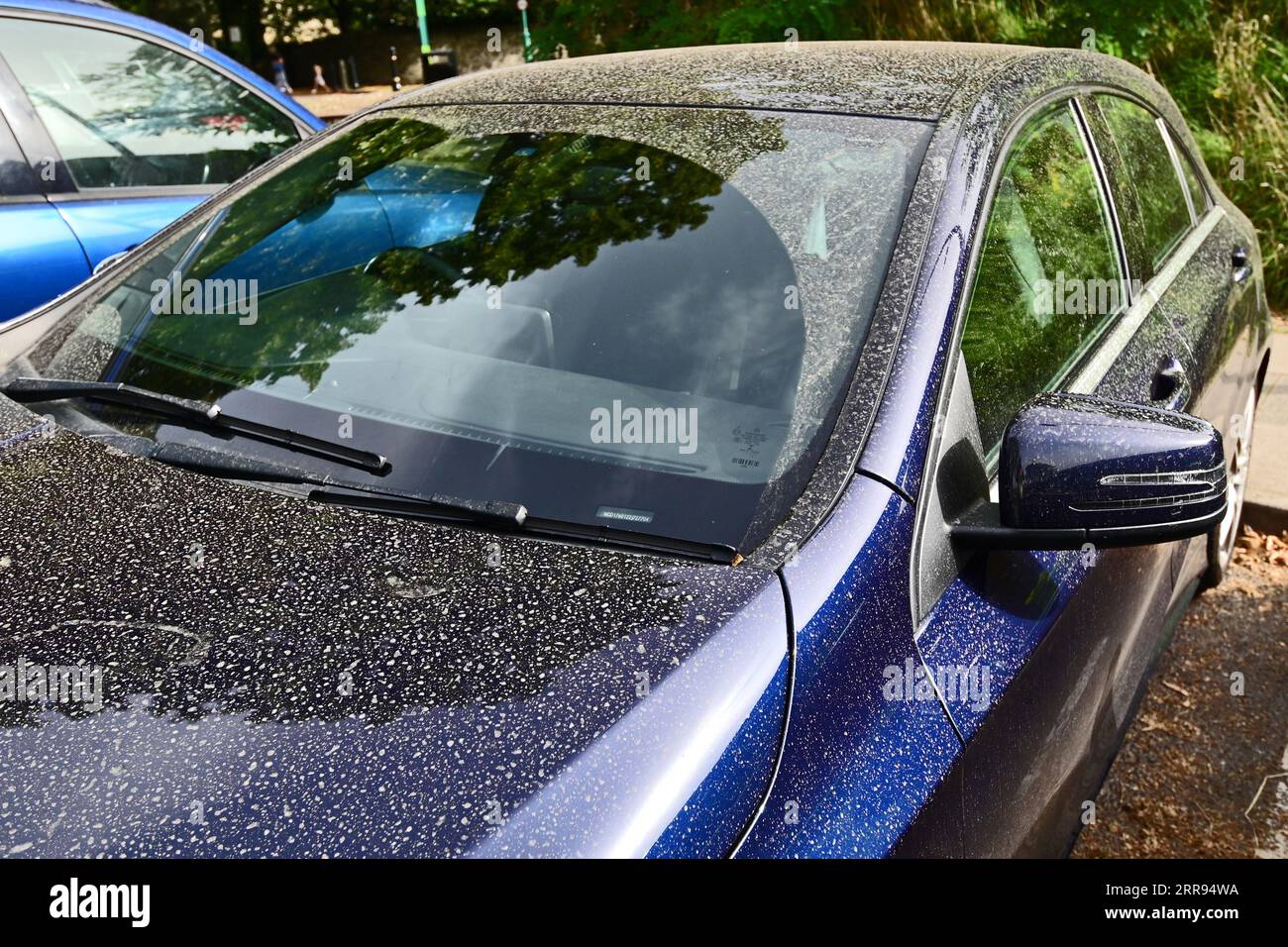 7thSeptember2023. Sahara dust covers car in the UK. Picture Credit ...