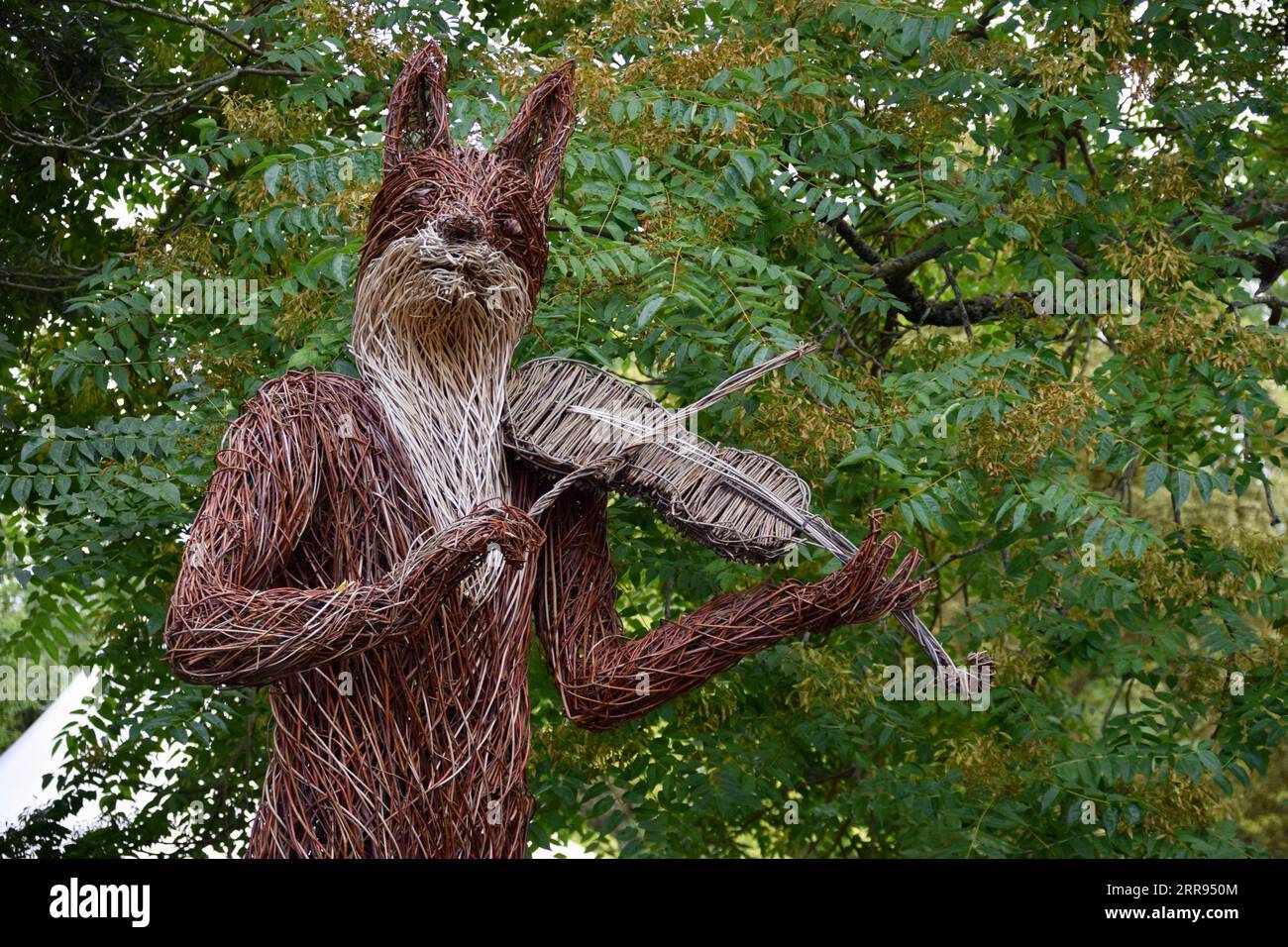 A Wicker Fox Playing a Violin at The 2023 Cambridge Folk Festival ...