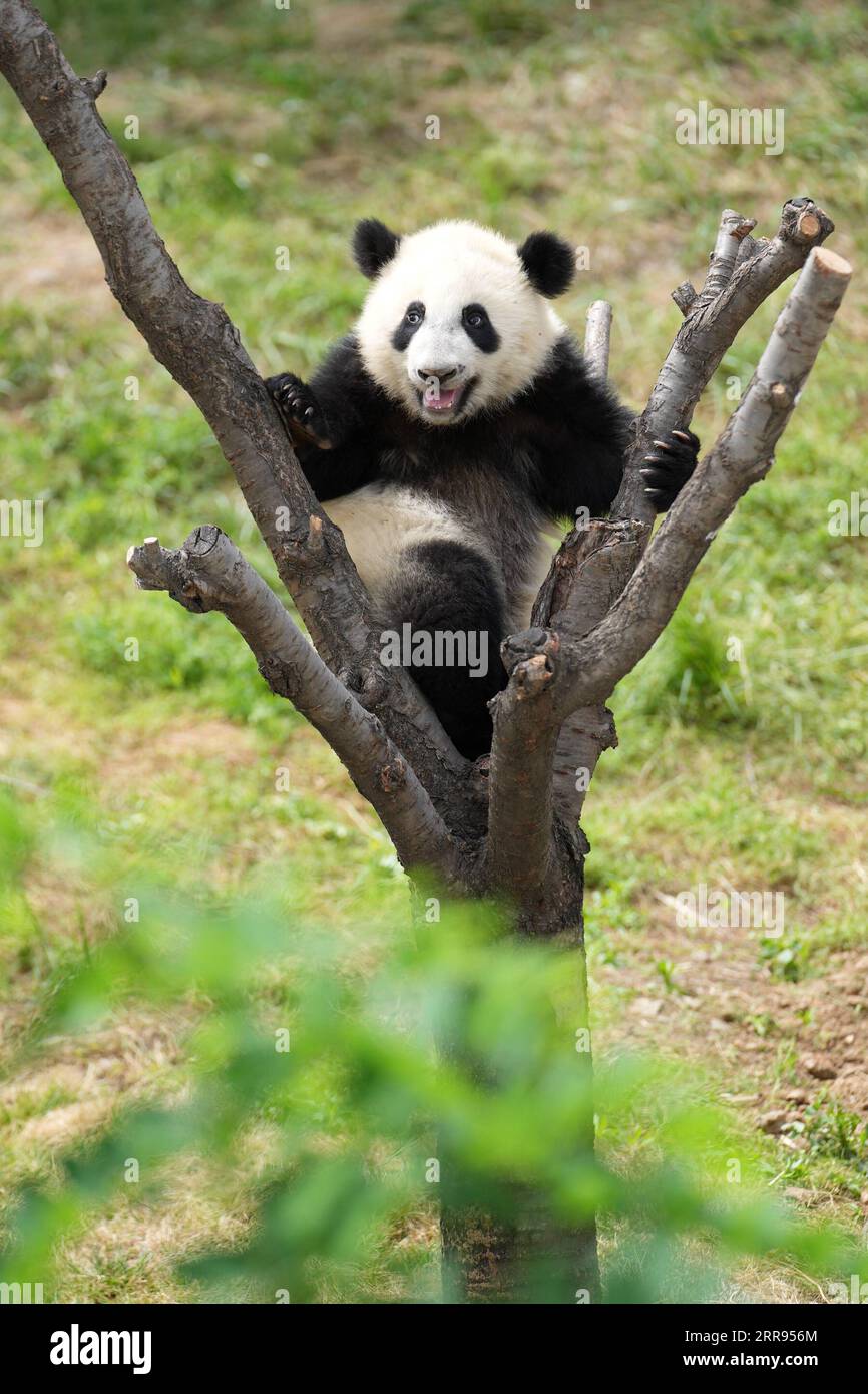 210528 -- XI AN, May 28, 2021 -- Photo taken on May 28, 2021 shows a ...