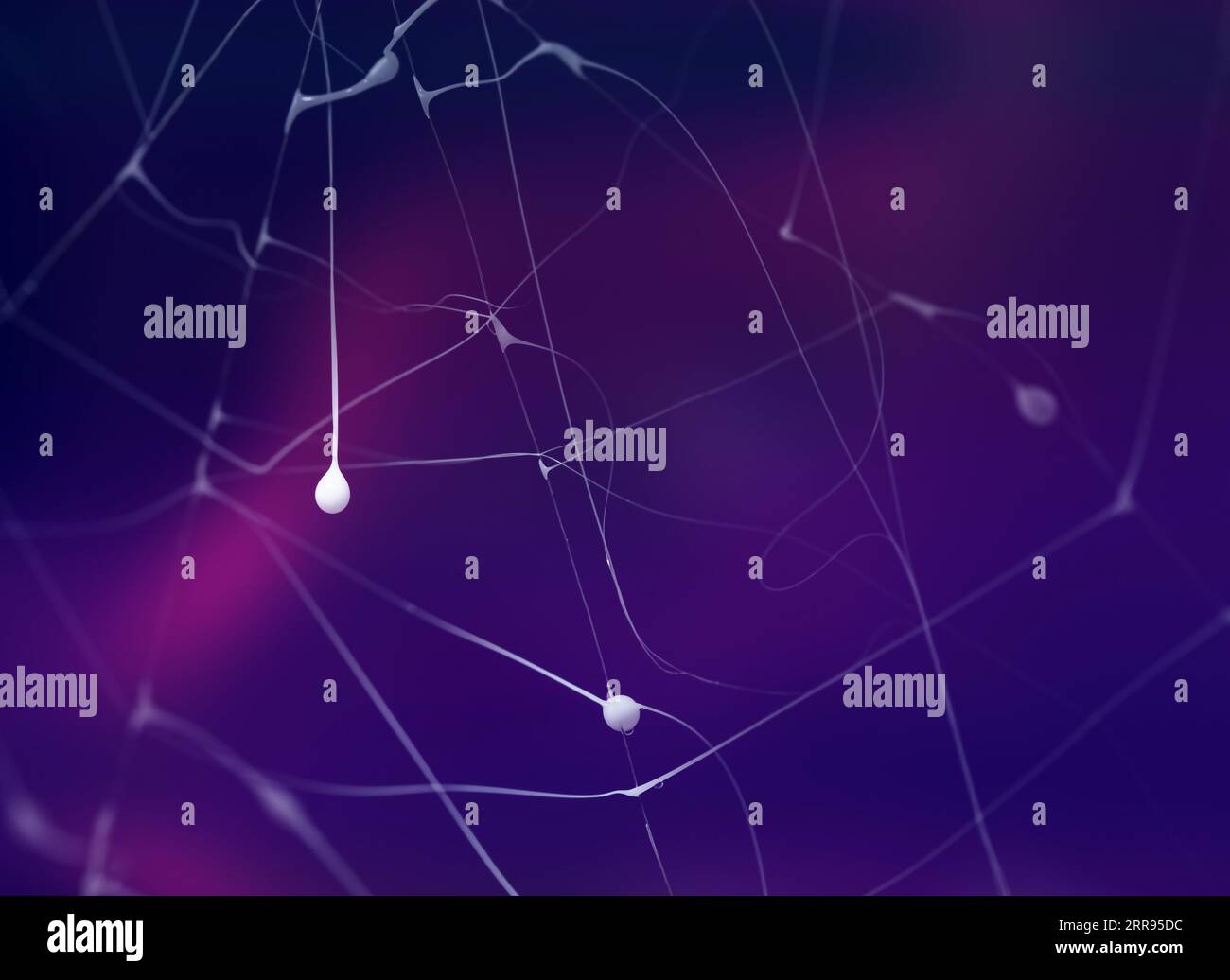 Ghost spider hi-res stock photography and images - Alamy