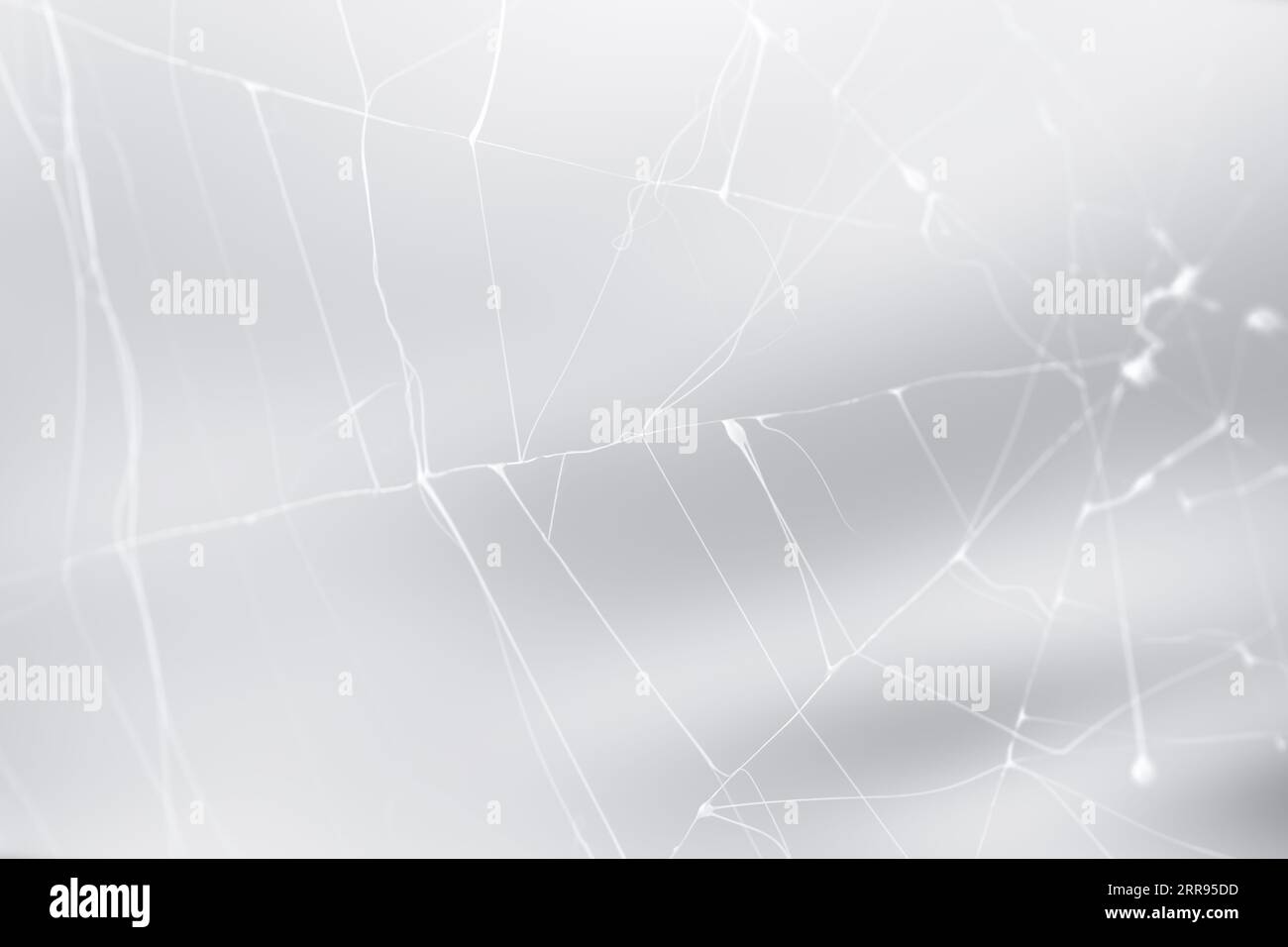 Halloween spiderweb with space for copy on gray background . Cobweb ...