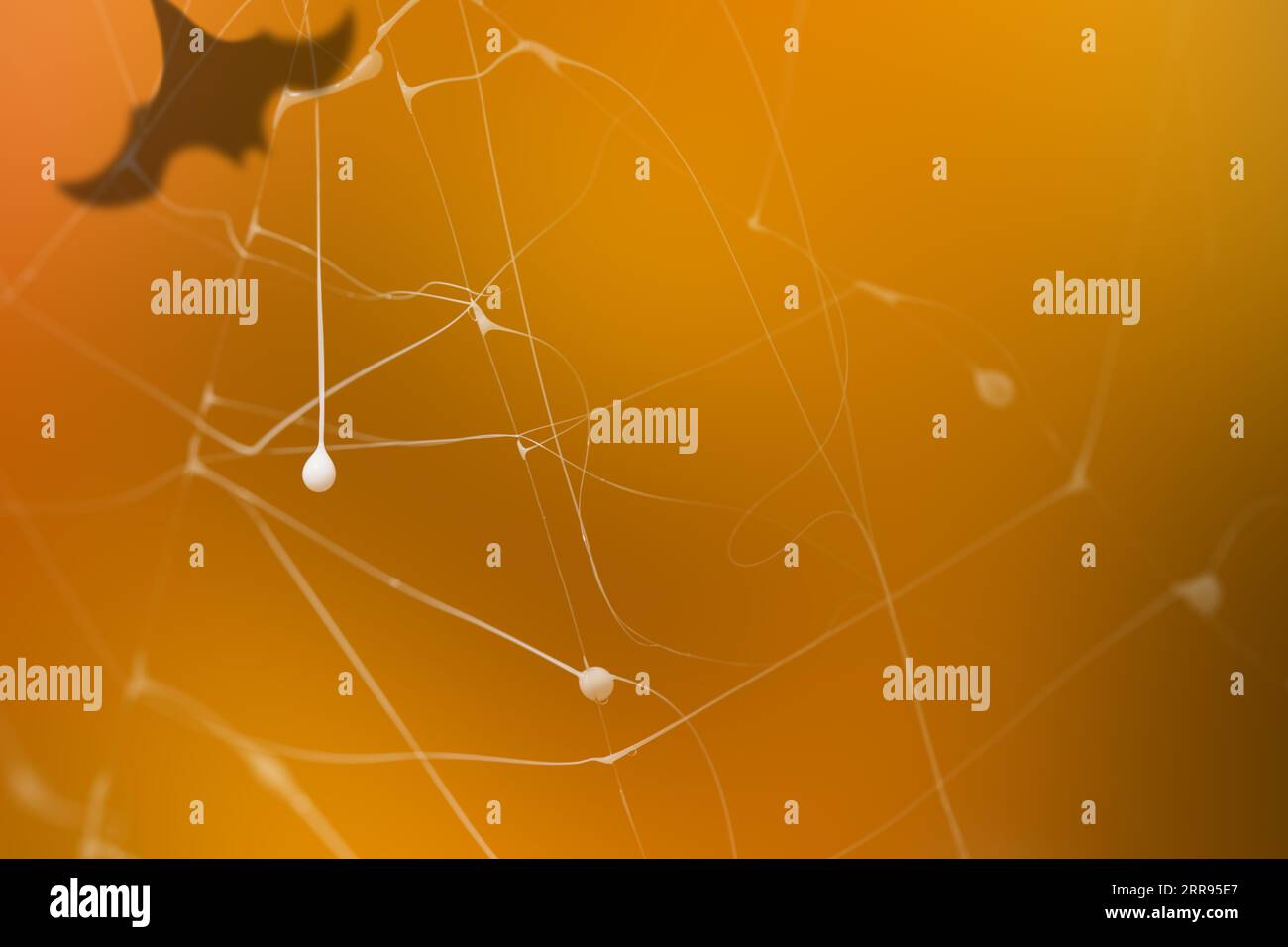 Halloween background with cobweb and the shadow of a bat in orange ...