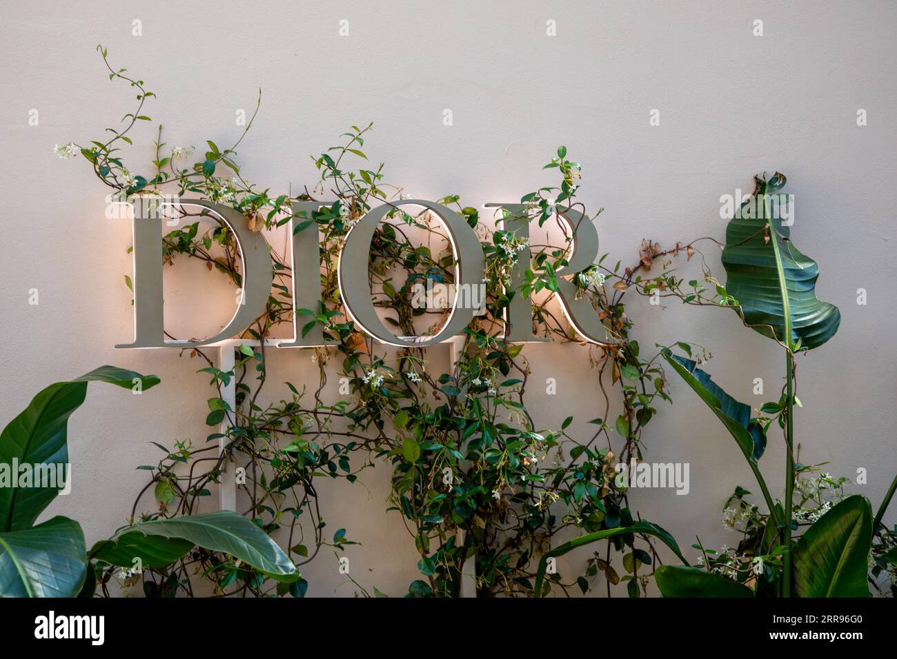Milan , Italy - 09 06 2023 : dior store sign text and logo brand in ...
