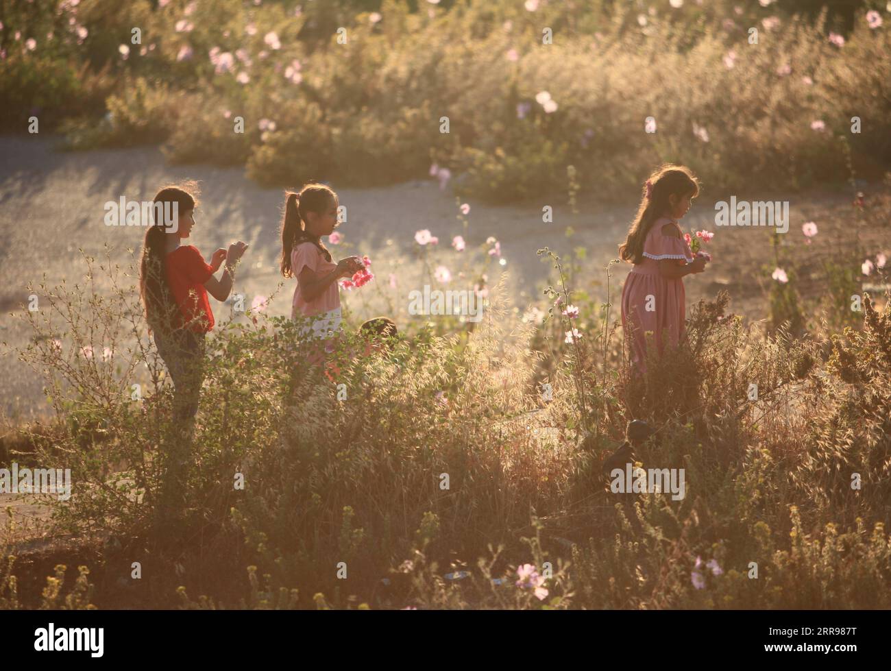 Beirut lebanon girls hi-res stock photography and images - Alamy