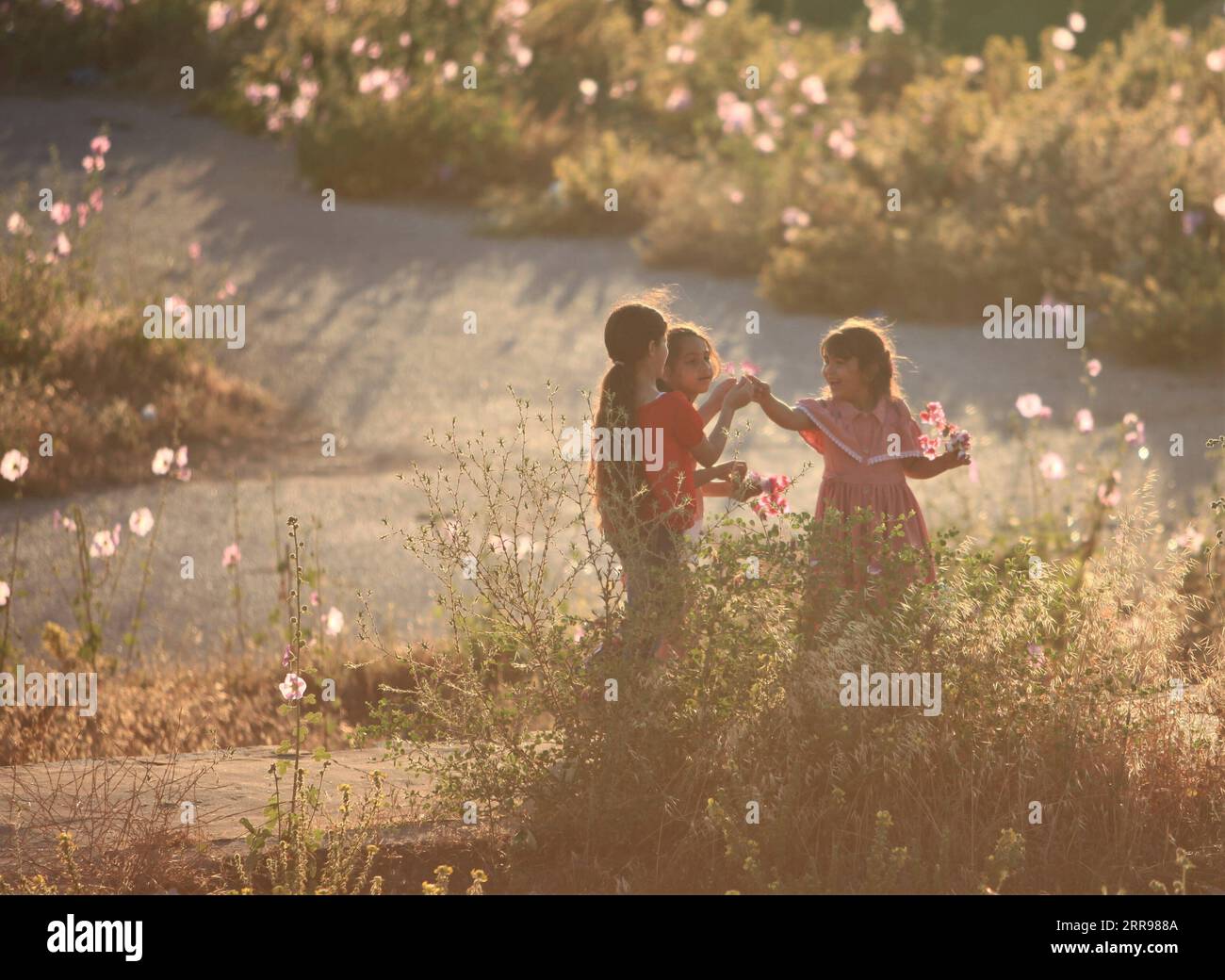 Beirut lebanon girls hi-res stock photography and images - Alamy