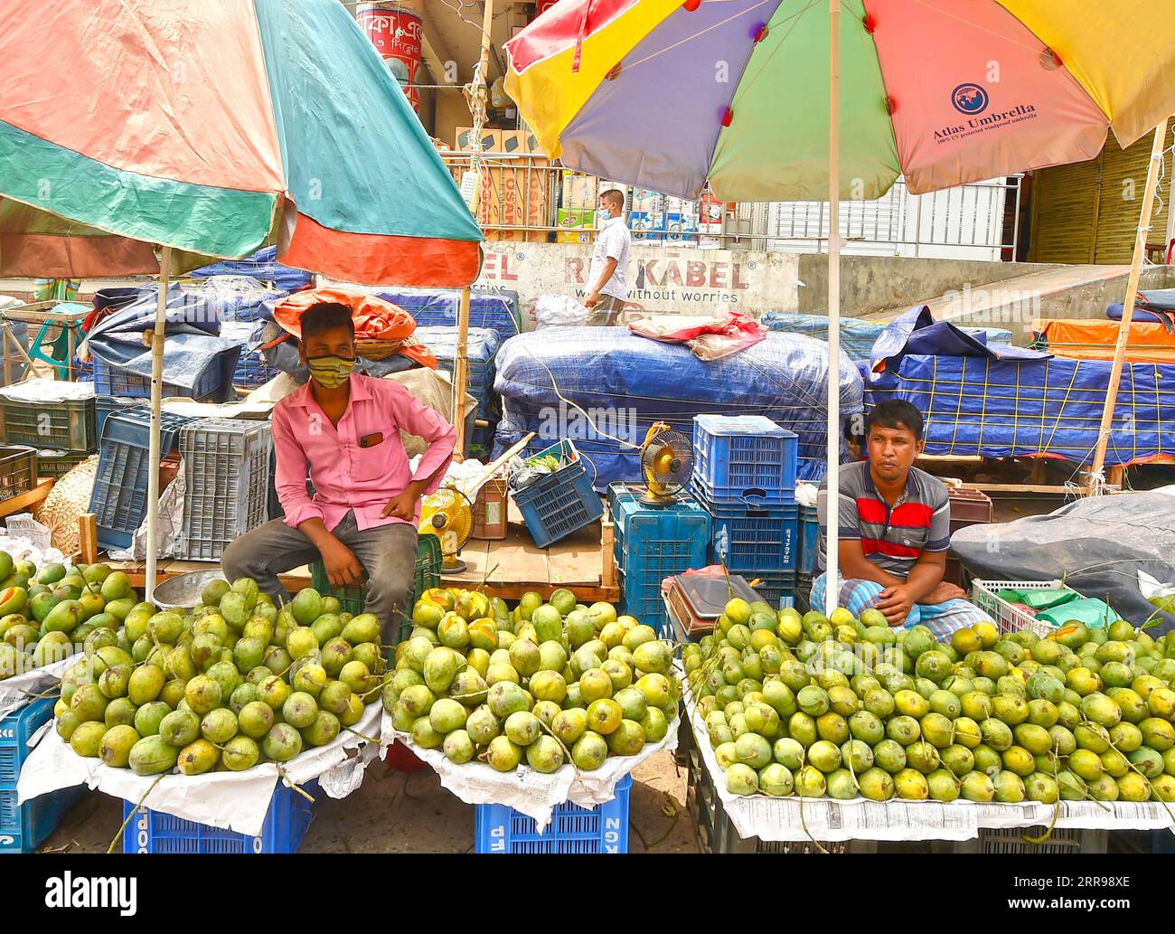 Bangladeshi mango hi-res stock photography and images - Alamy