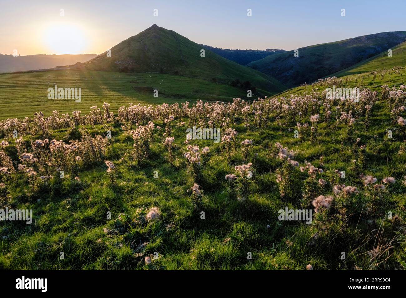 Thorpe Cloud from Hamston Hill on a summer evening, Peak District ...