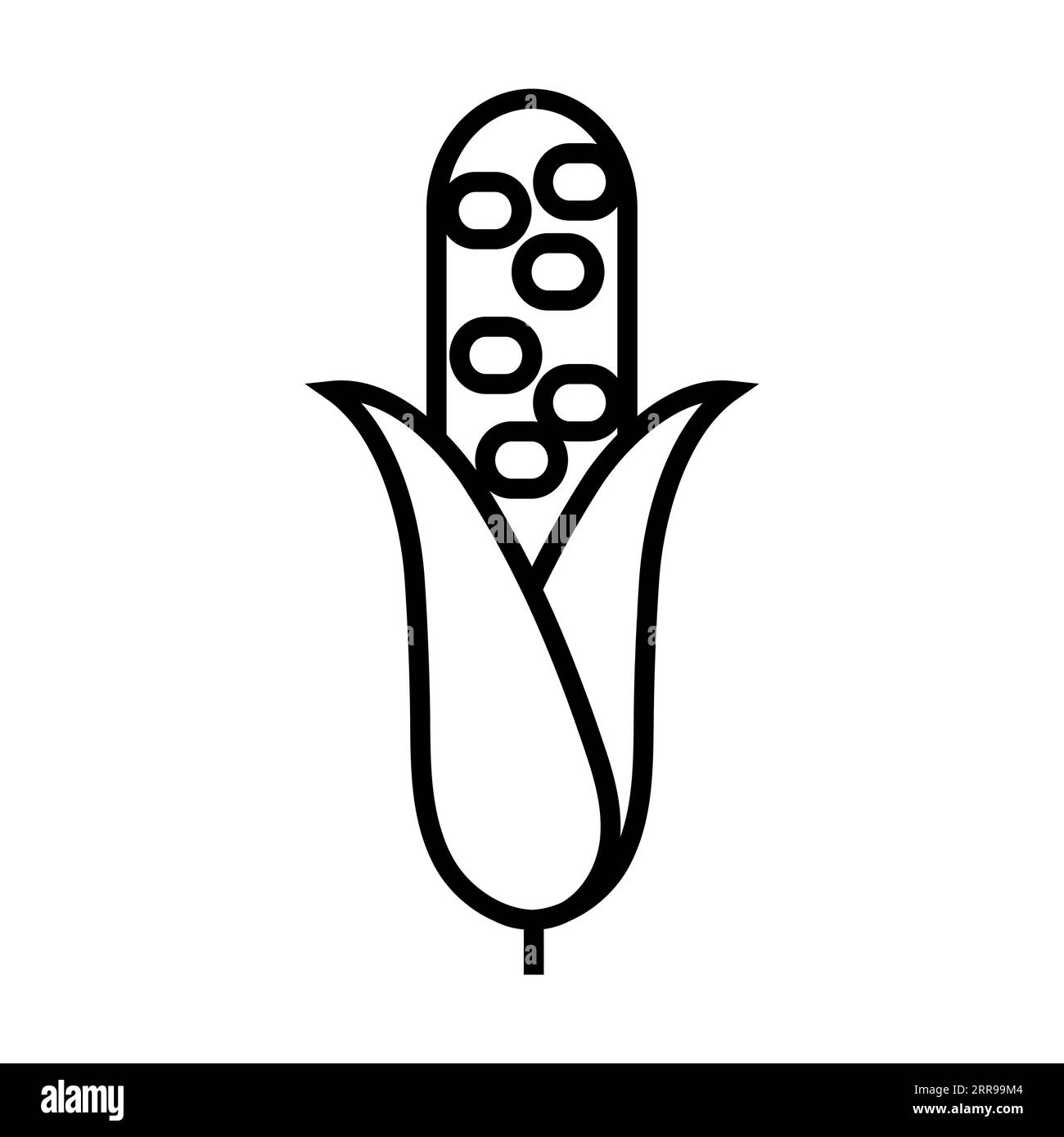 Corn cob on black Black and White Stock Photos & Images - Alamy