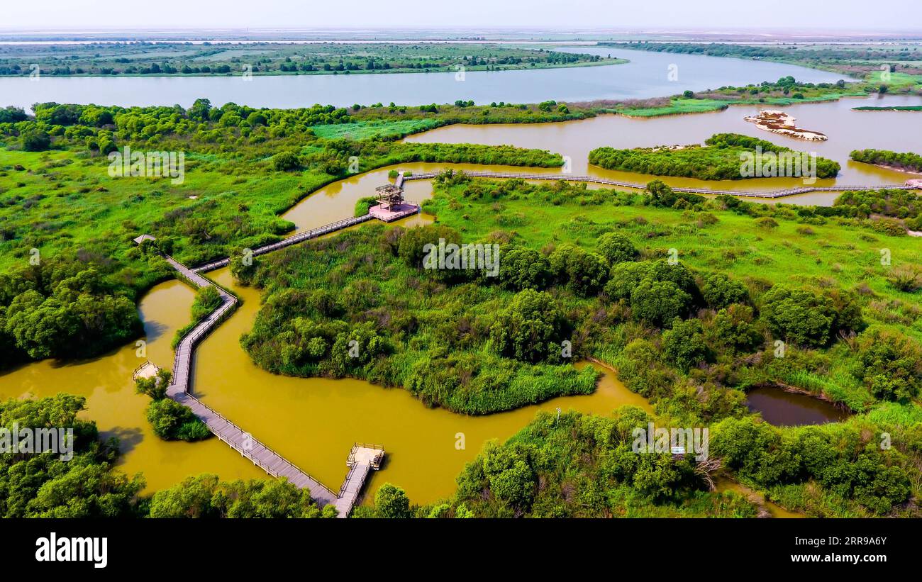 Yellow river dongying china hi-res stock photography and images - Alamy