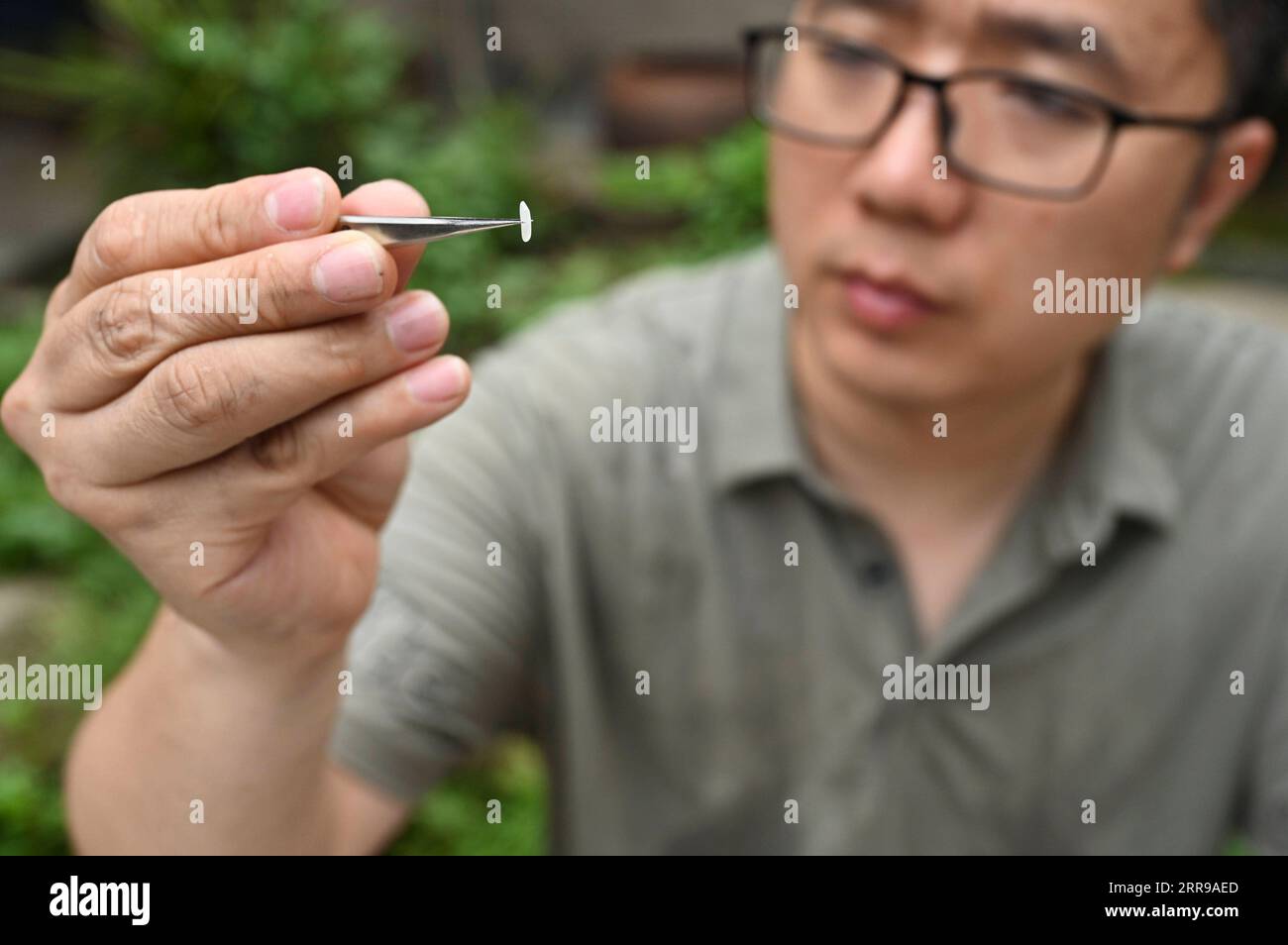 210606 -- FUZHOU, June 6, 2021 -- Chen Guorui selects rice grains to ...