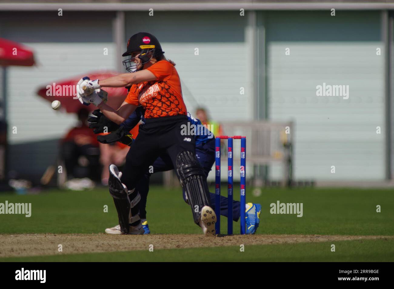 Nicole faltum hi-res stock photography and images - Alamy