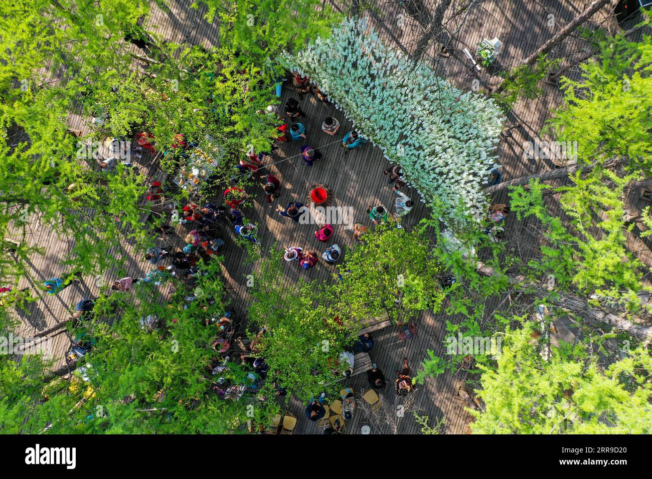 210610 -- GENHE, June 10, 2021 -- Aerial photo taken on June 8, 2021 ...