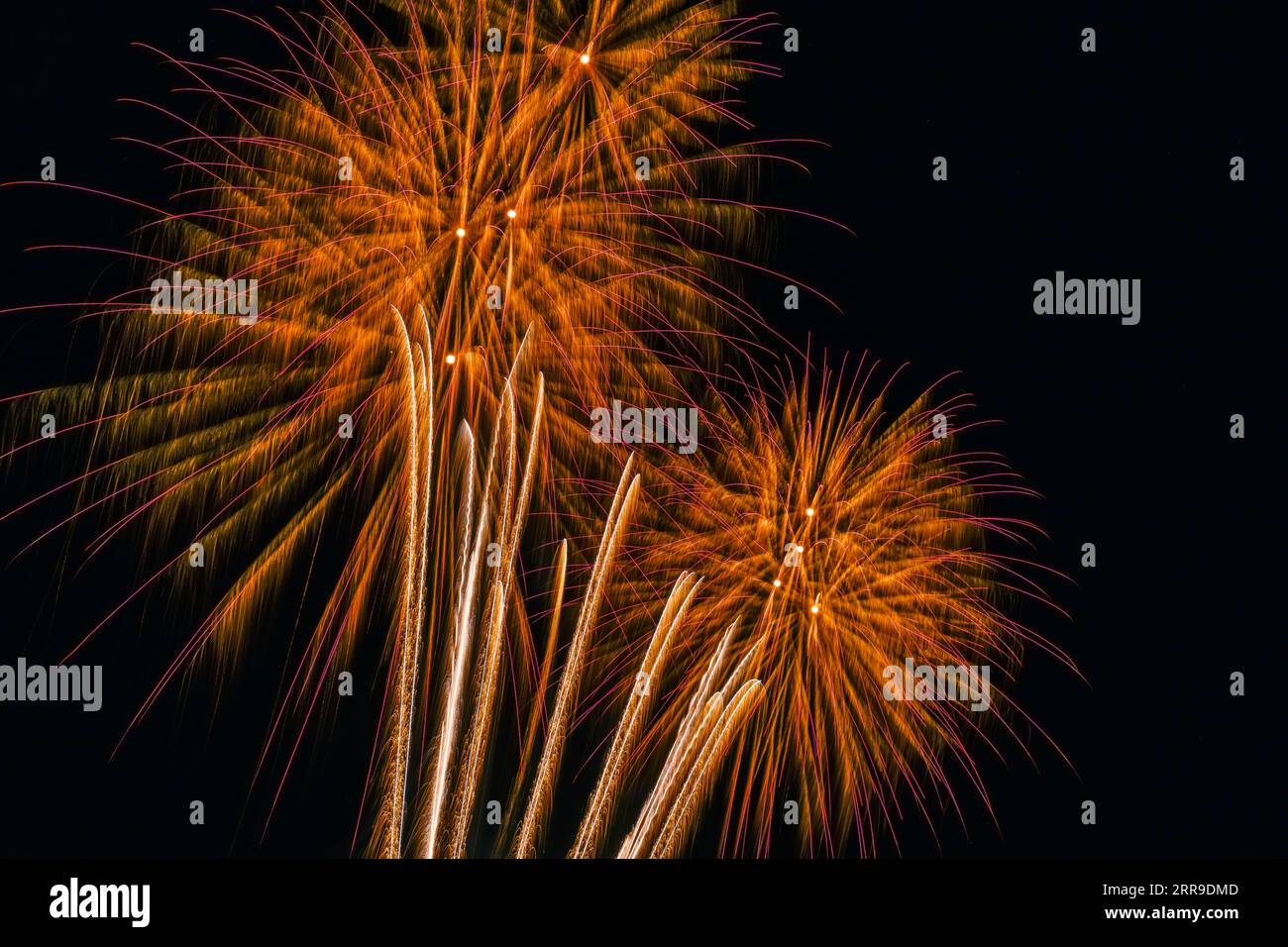 Colorful fireworks exploded in the night sky Stock Photo - Alamy