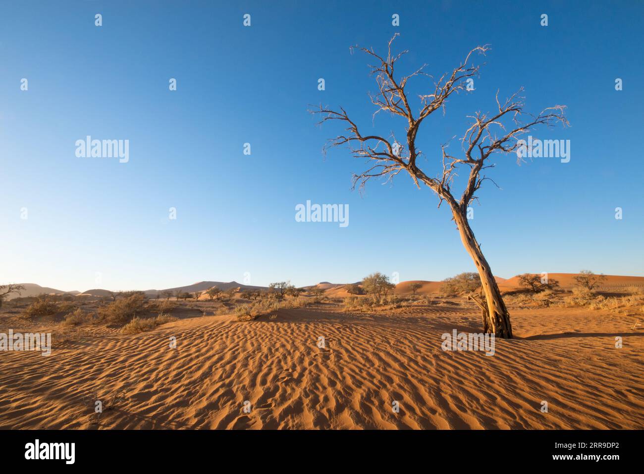 Noroads hi-res stock photography and images - Alamy