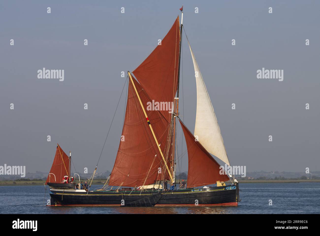 The Thames sailing barge Centaur, Blackwater Barge Match, Essex Stock ...