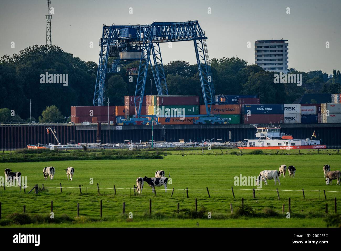Cargo ship on the Rhine at the height of Emmerich, port of Emmerich ...