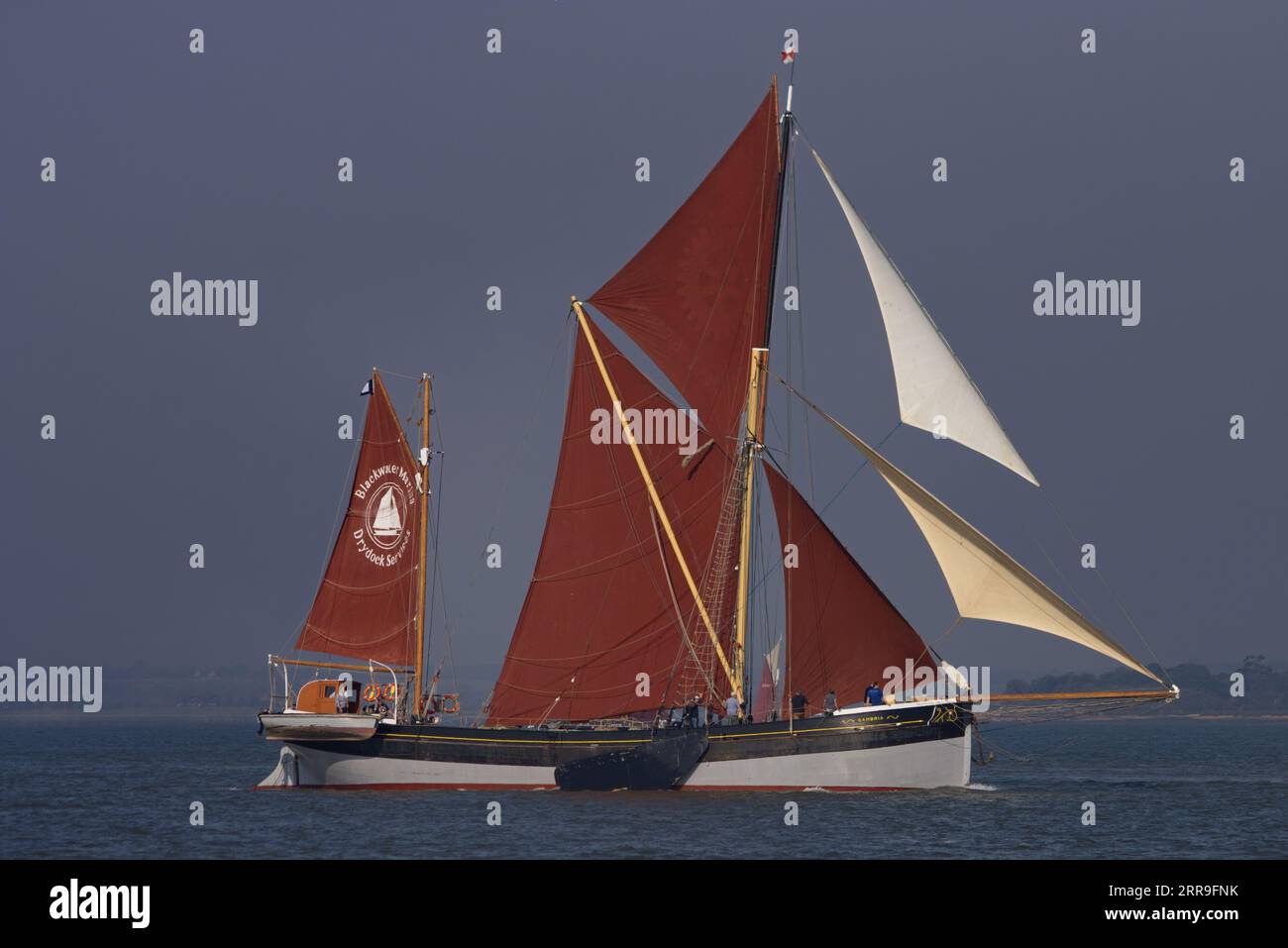 The Thames sailing barge Cambria, Blackwater Barge Match, Essex Stock ...
