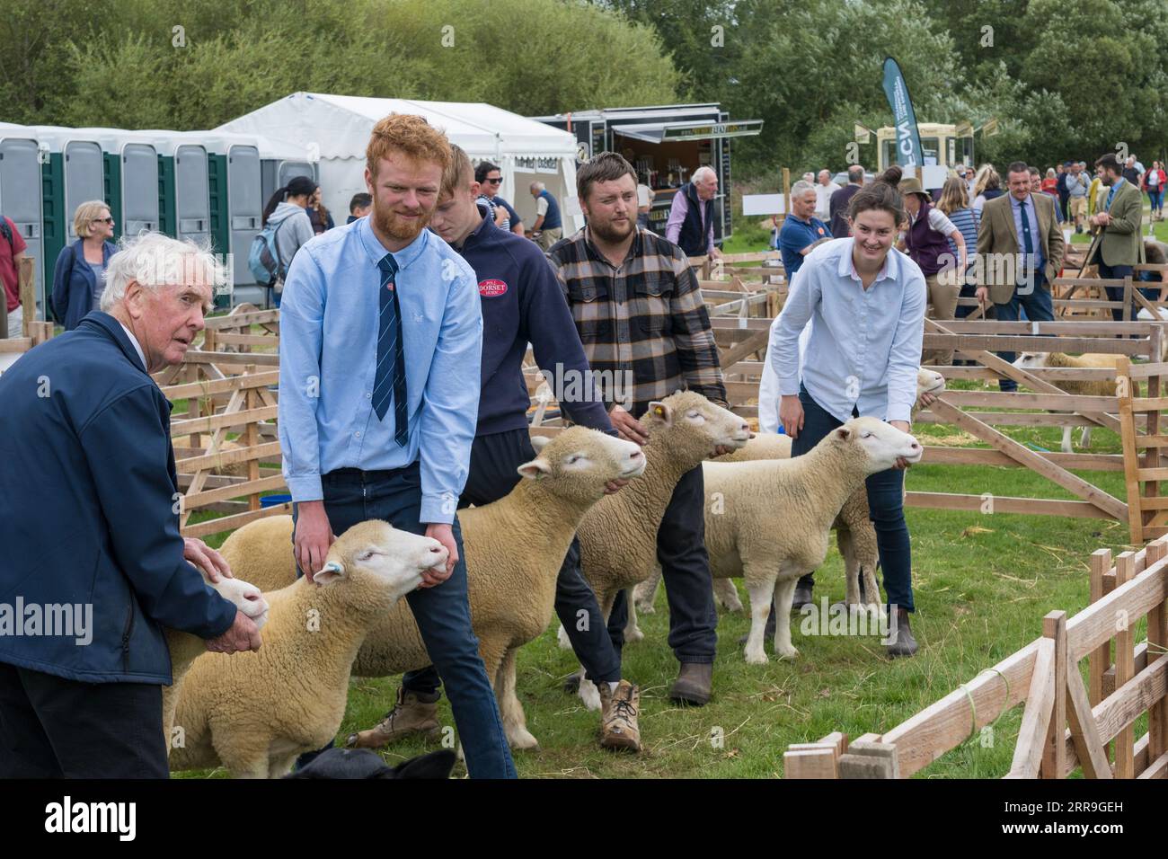 Farmers livestock annual sheep hi-res stock photography and images - Alamy