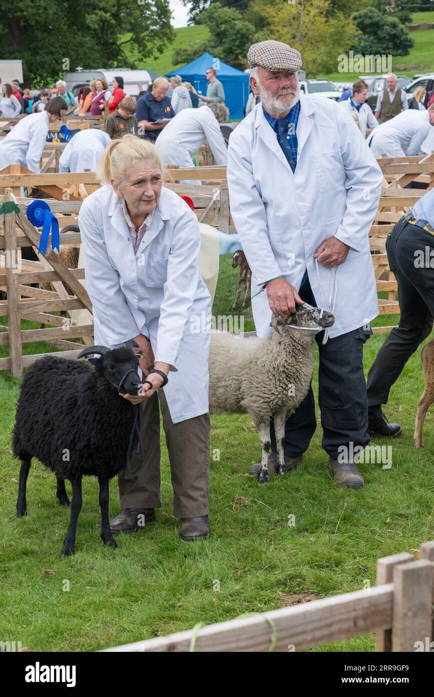 Farmers with their sheep competing at the annual Ripley Agricultural ...