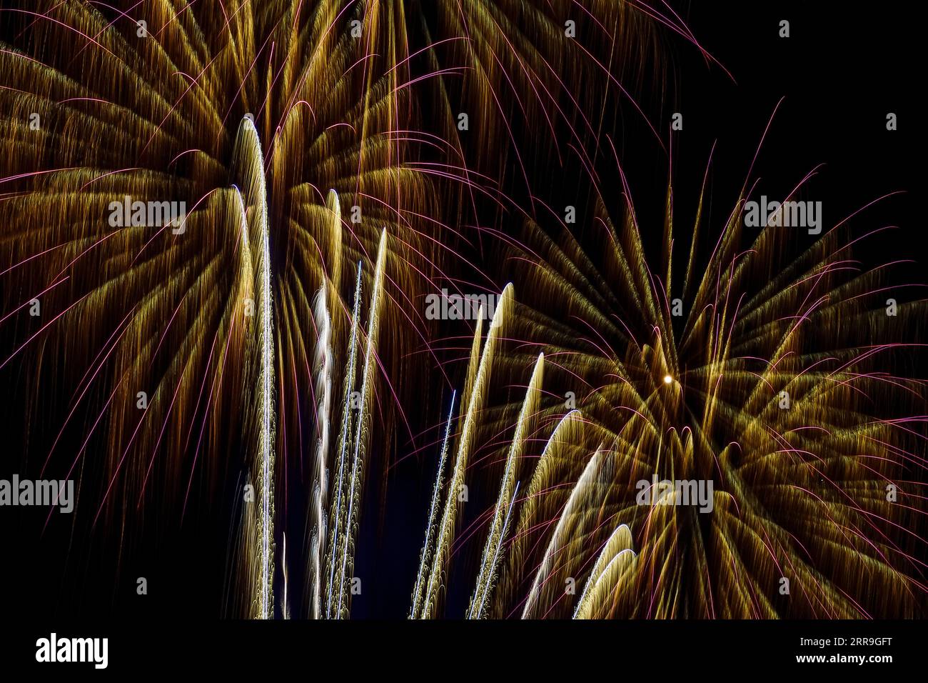 Colorful fireworks exploded in the night sky Stock Photo - Alamy