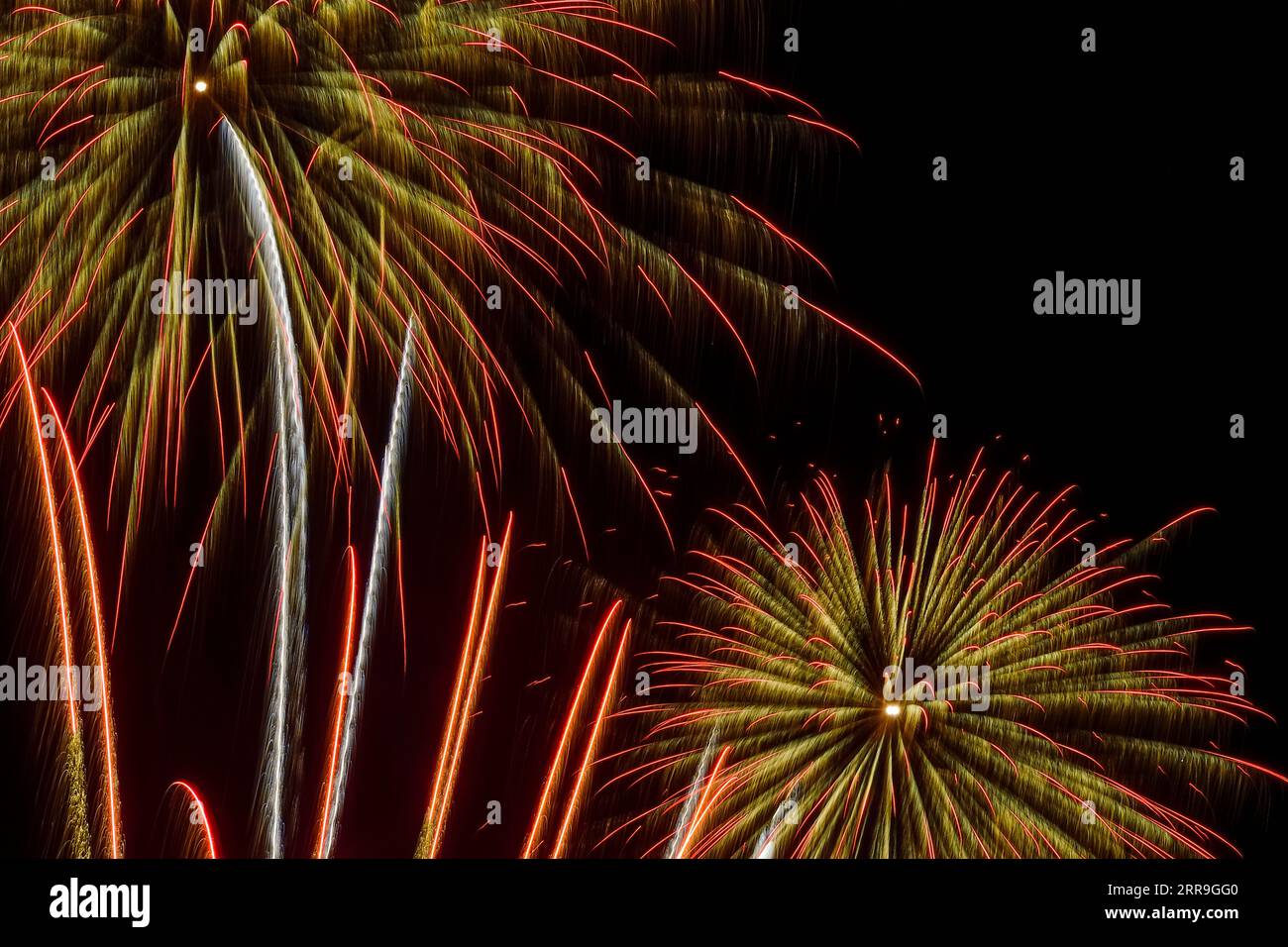 Colorful fireworks exploded in the night sky Stock Photo - Alamy