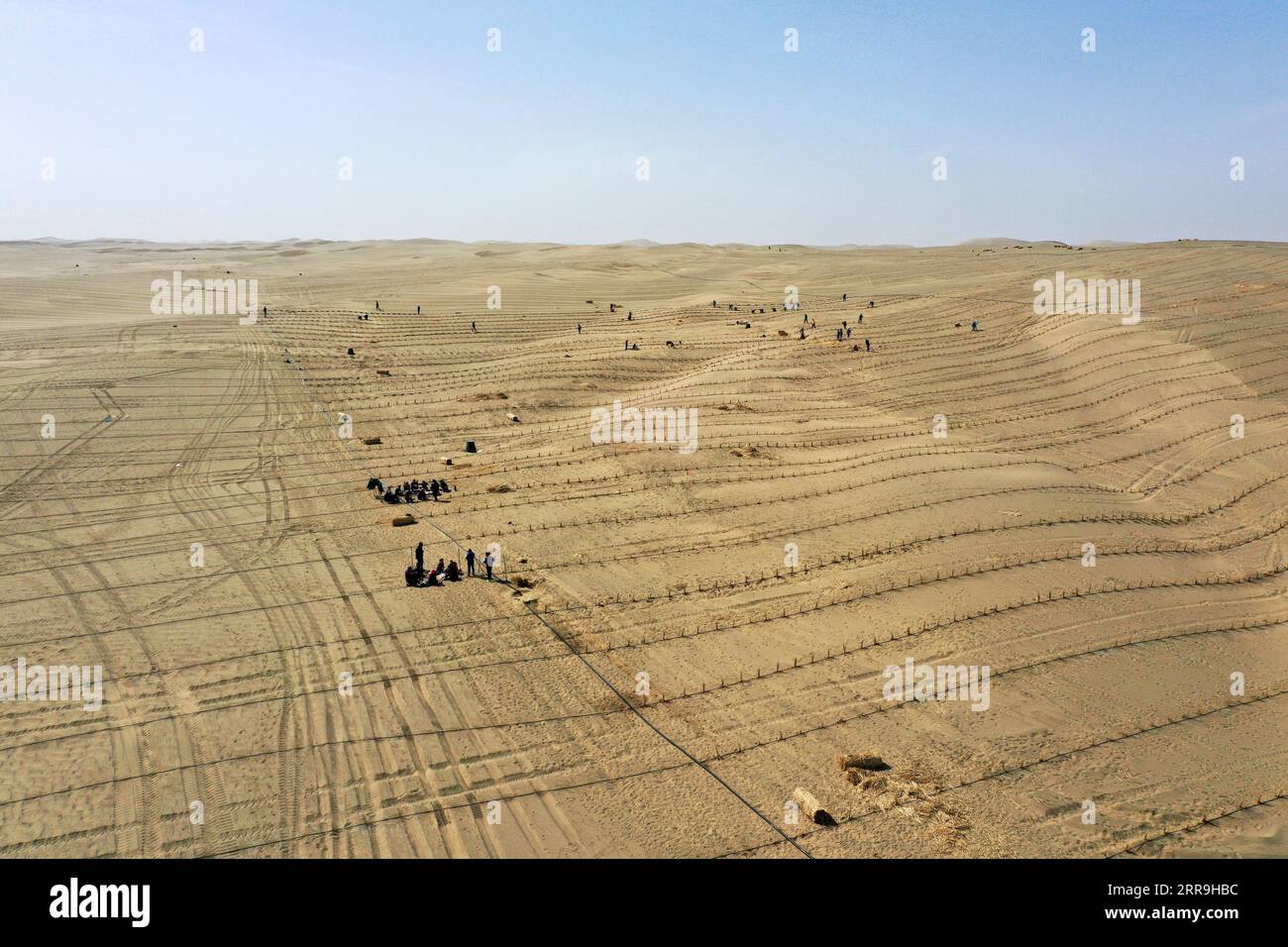 Desert planting trees hi-res stock photography and images - Alamy
