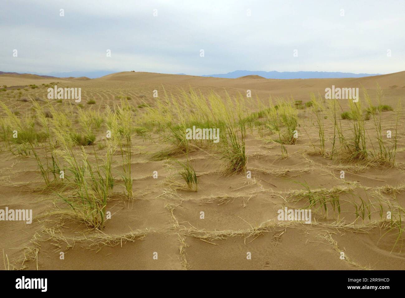 210617 -- LINZE, June 17, 2021 -- Aerial photo taken on June 16, 2021 ...