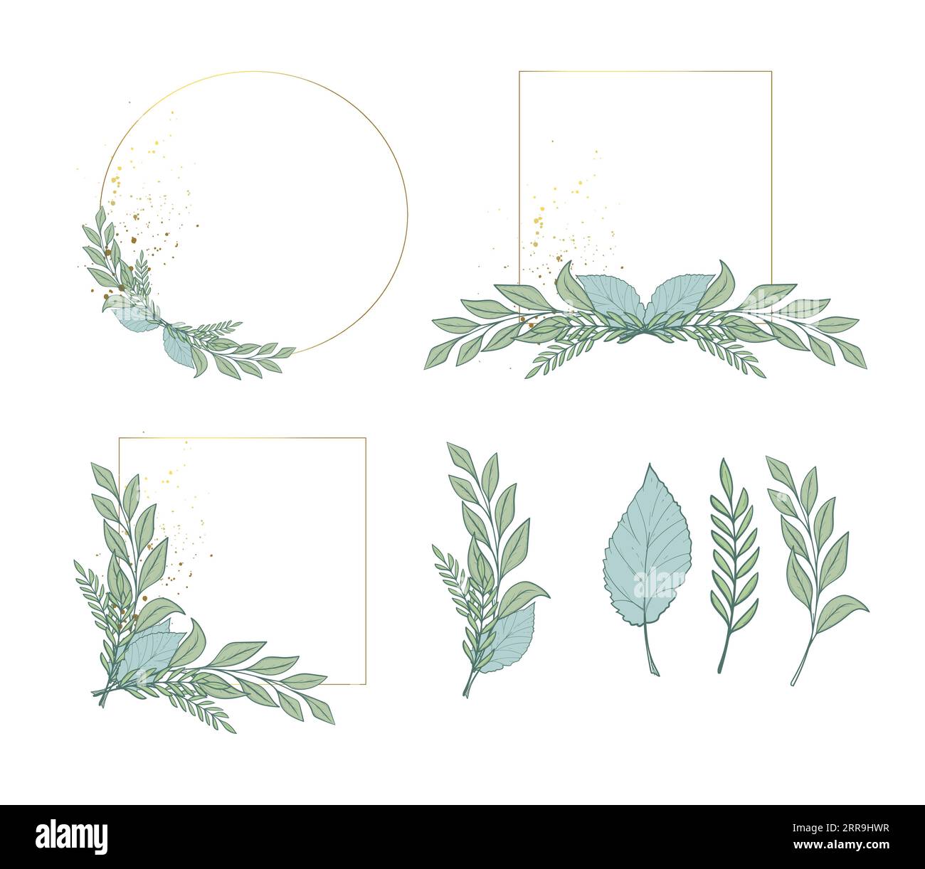 Round and square golden frames with decor from greenery and plant ...