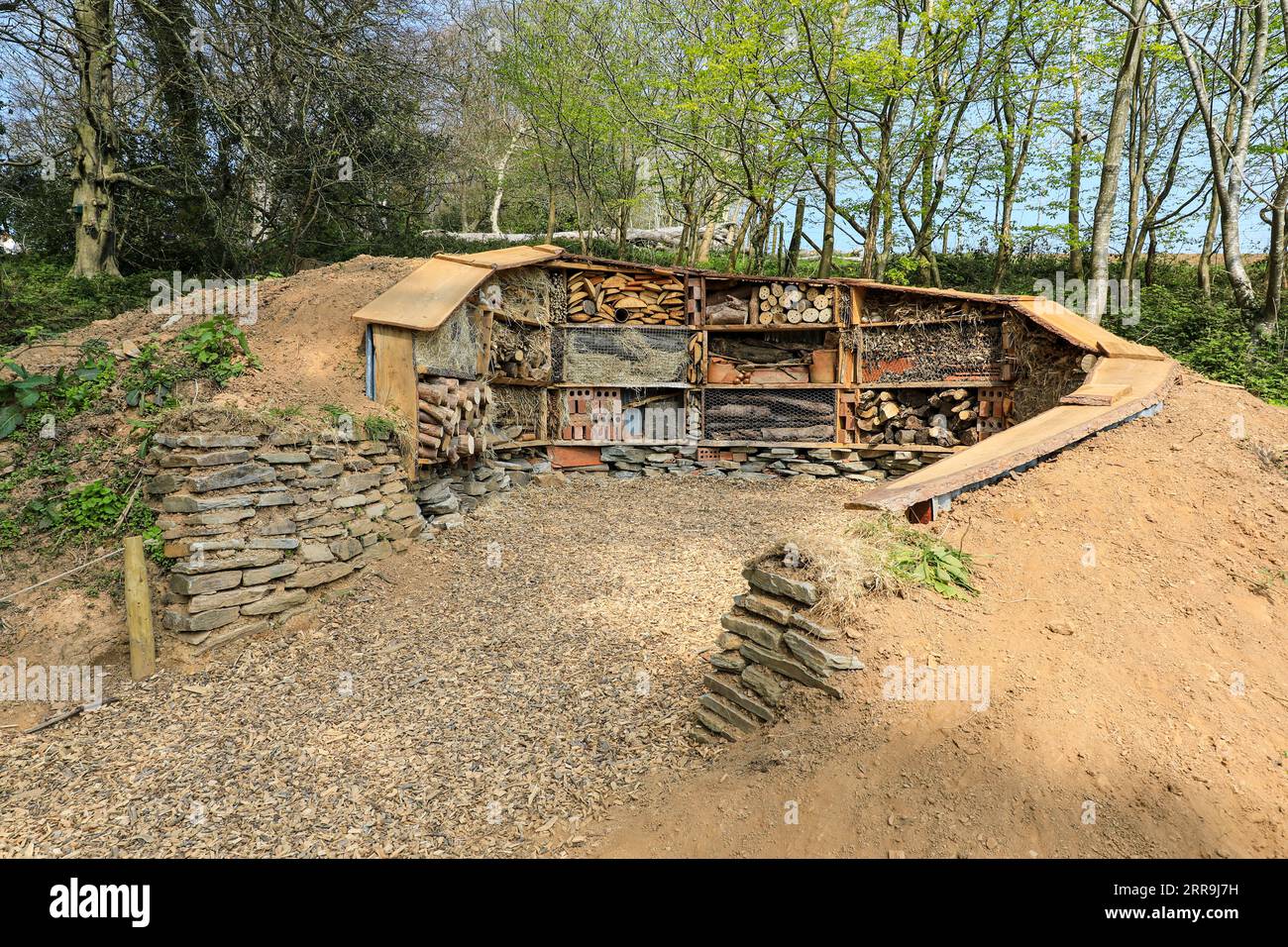 The lost gardens of heligan bug hi-res stock photography and images - Alamy