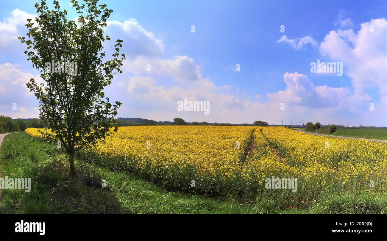 Beautiful High Resolution Panorama Of A Northern European Country ...