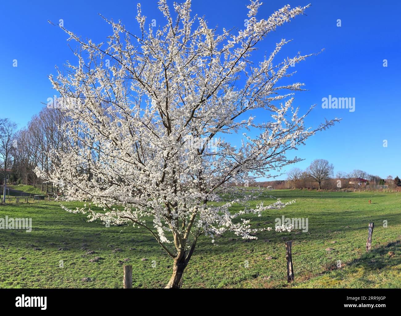 Beautiful High Resolution Panorama Of A Northern European Country ...
