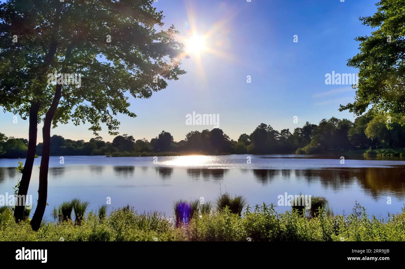 Beautiful Sunny Landscape At A Lake With A Reflective Water Surface ...