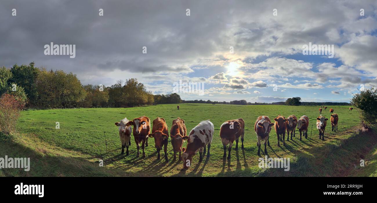 Beautiful High Resolution Panorama Of A Northern European Country ...