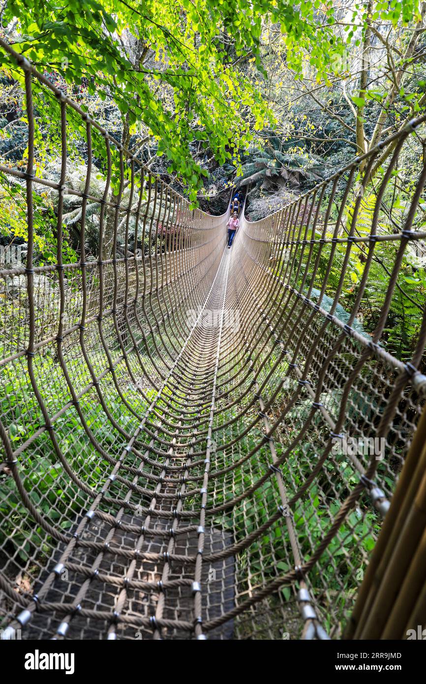 The Burma Rope Bridge at The Lost Gardens of Heligan, Pentewan, St ...