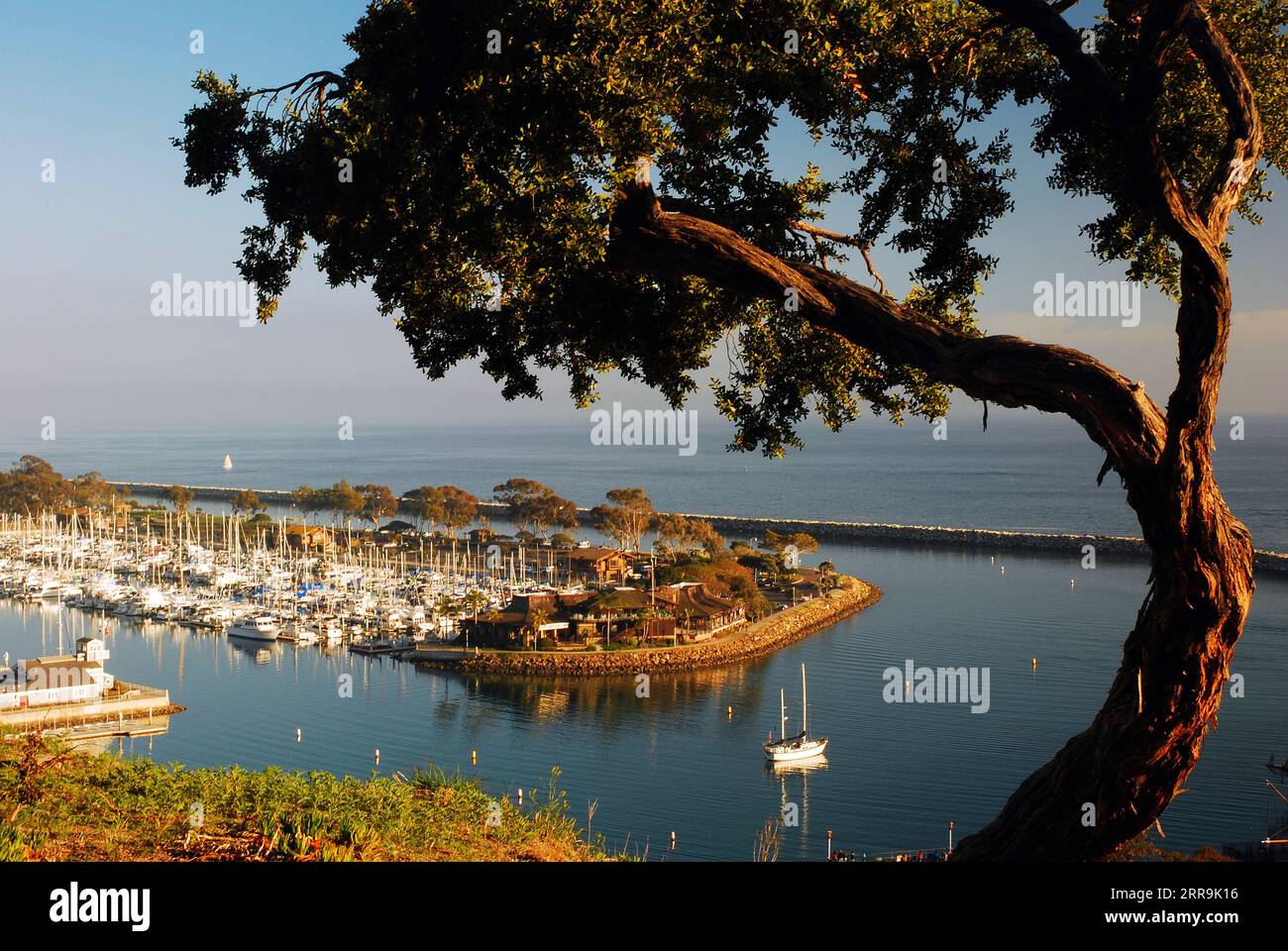 Pleasure harbor sailing ships hi-res stock photography and images - Alamy