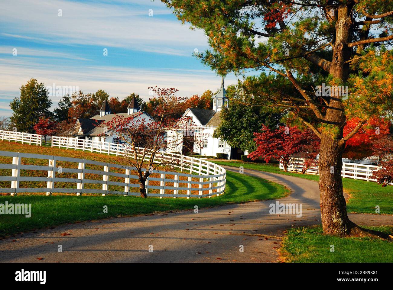 A meandering country road traverses a fall landscape in Kentucky's Blue ...