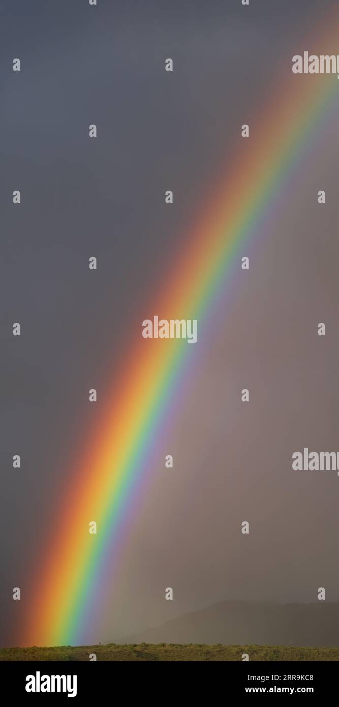 Elements emerging hi-res stock photography and images - Alamy