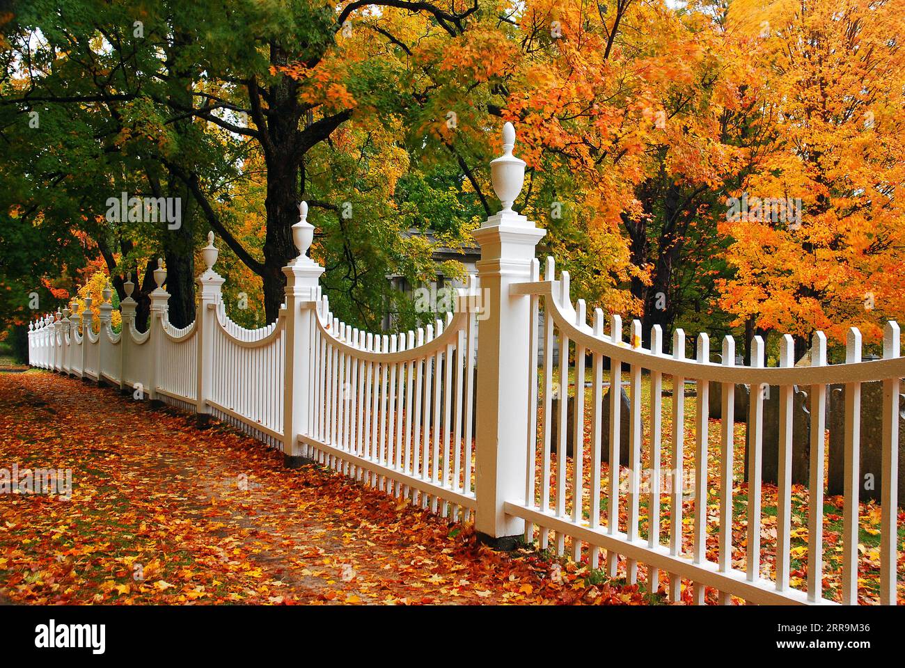 Autumn leaves are framed by a white picket fence Stock Photo - Alamy