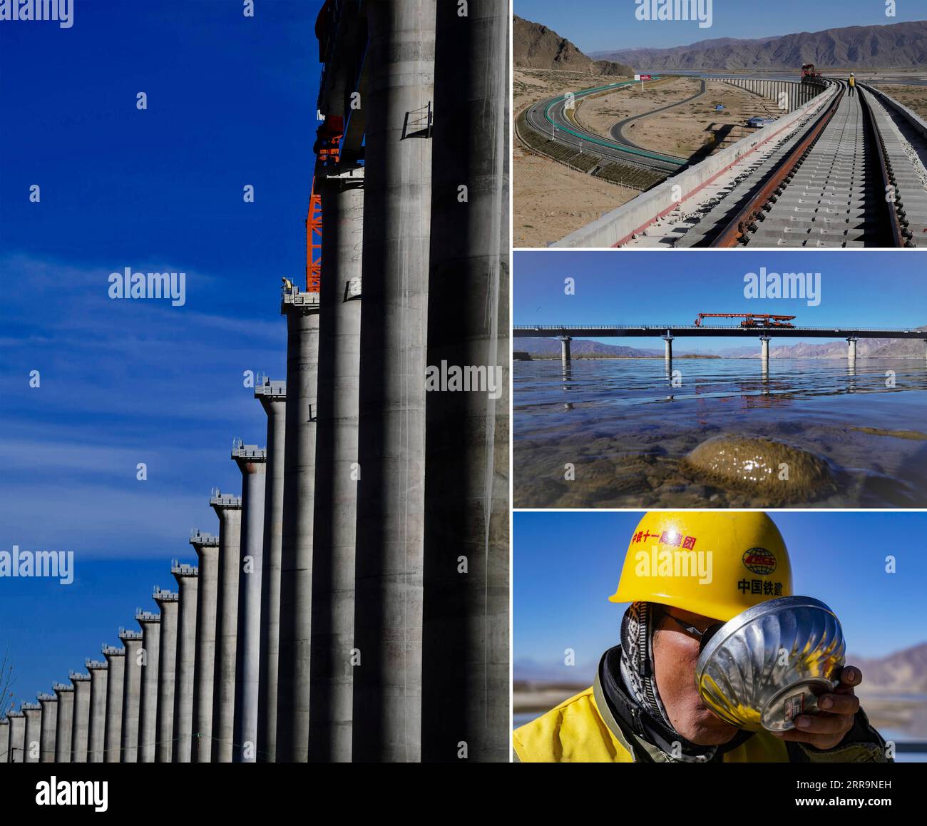 Lhasa nyngchi hi-res stock photography and images - Alamy