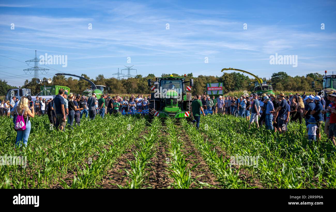 Corn cultivation techniques hi-res stock photography and images - Alamy