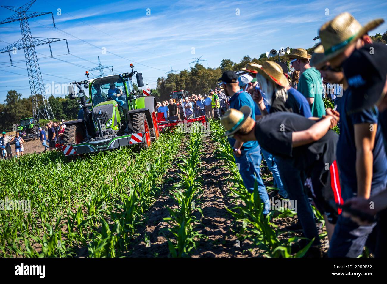Corn cultivation techniques hi-res stock photography and images - Alamy