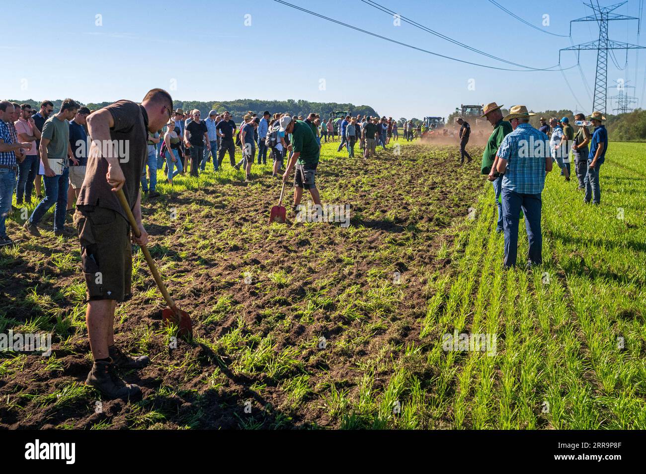 Corn cultivation techniques hi-res stock photography and images - Alamy