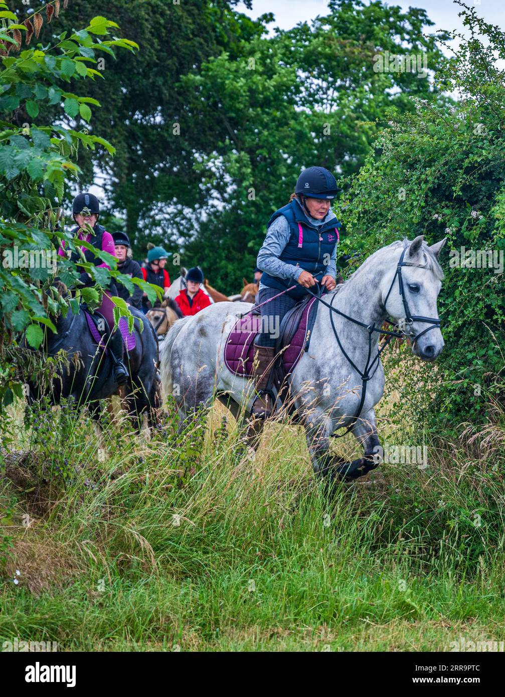 Riding through hedges hi-res stock photography and images - Alamy