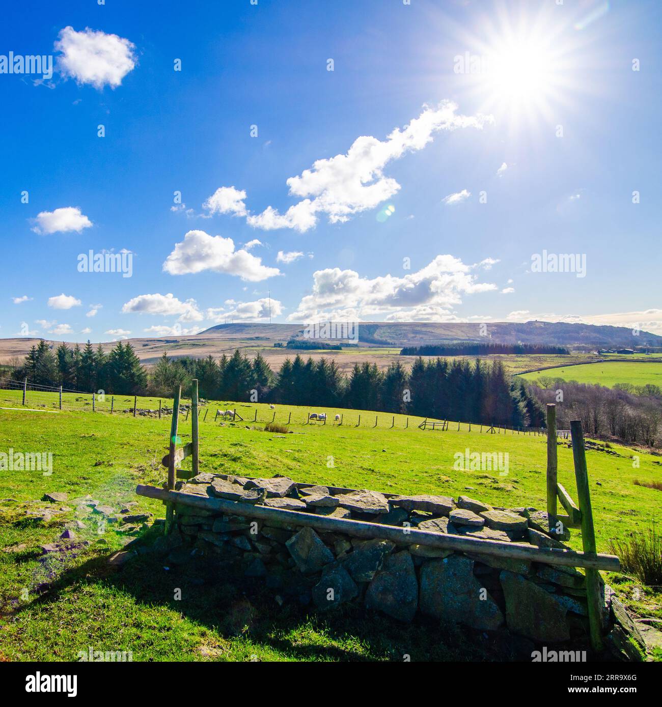 View from Anglezarke of Rivington Pike and Winter Hill with blue sky ...