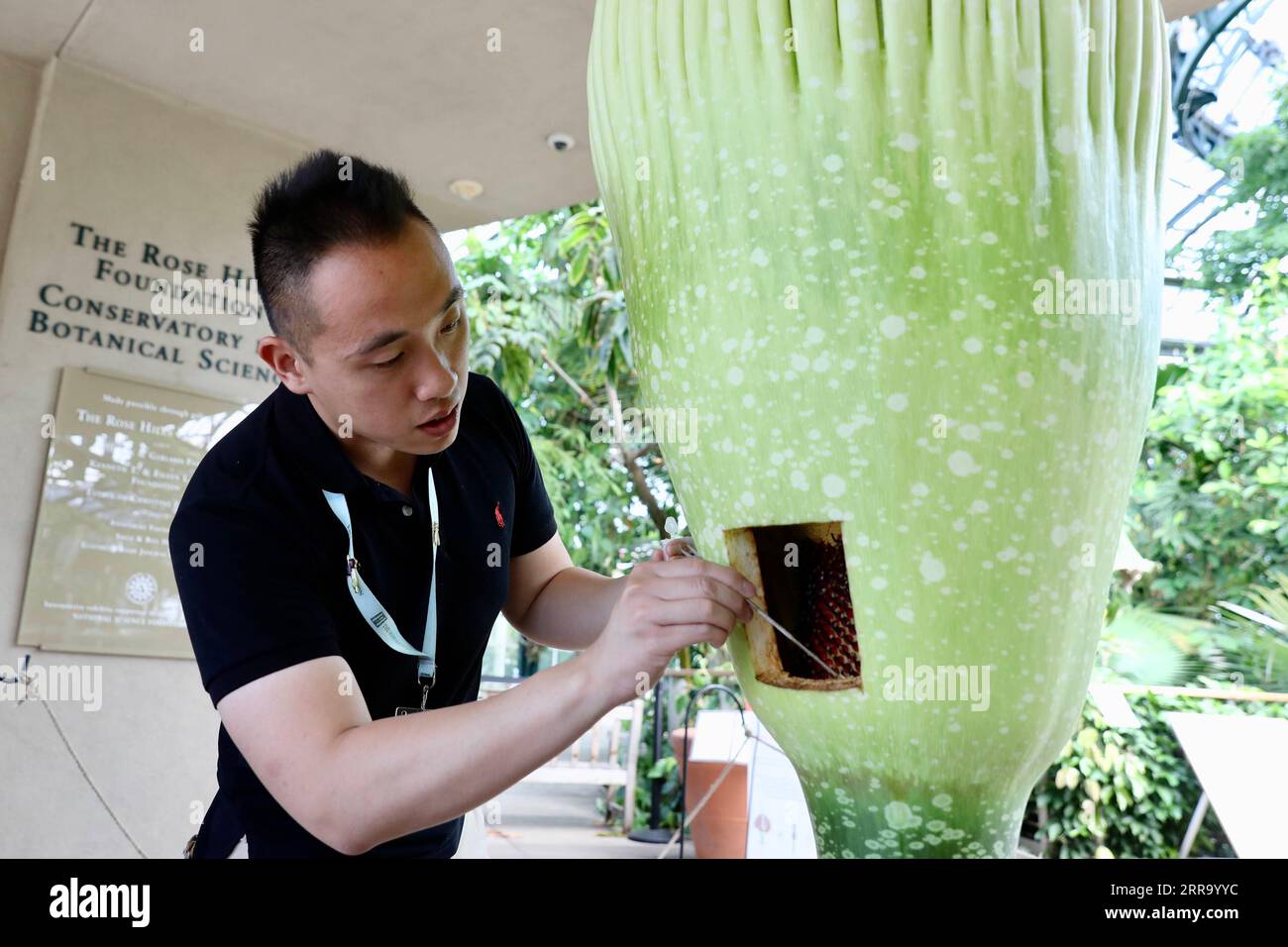 Putrefying hi-res stock photography and images - Alamy