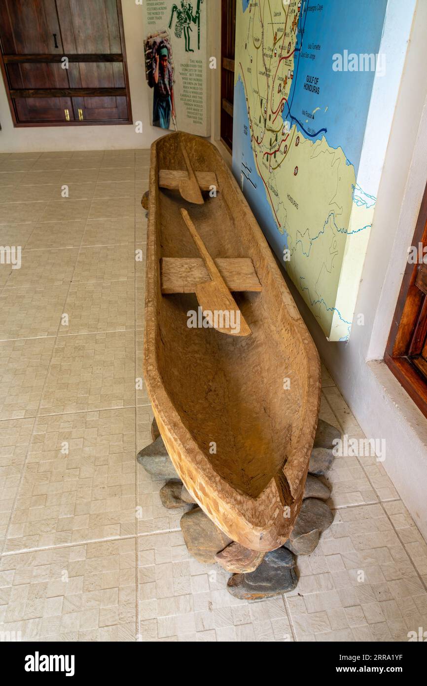 Display of a Mayan dugout canoe in the museum at the Altun Ha ...