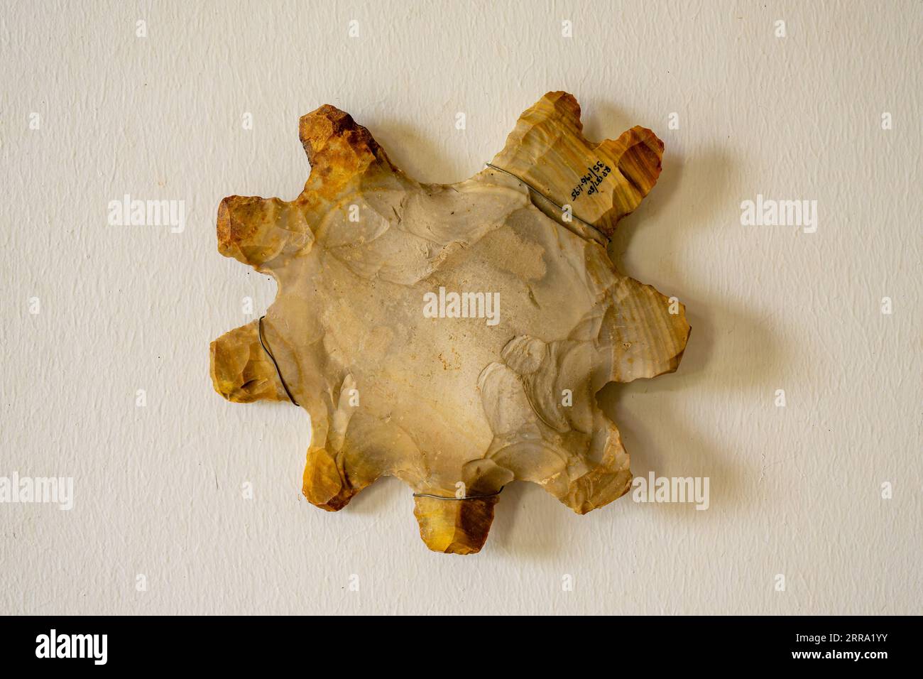 A chert eccentric flint in the museum at the Altun Ha Archeological ...