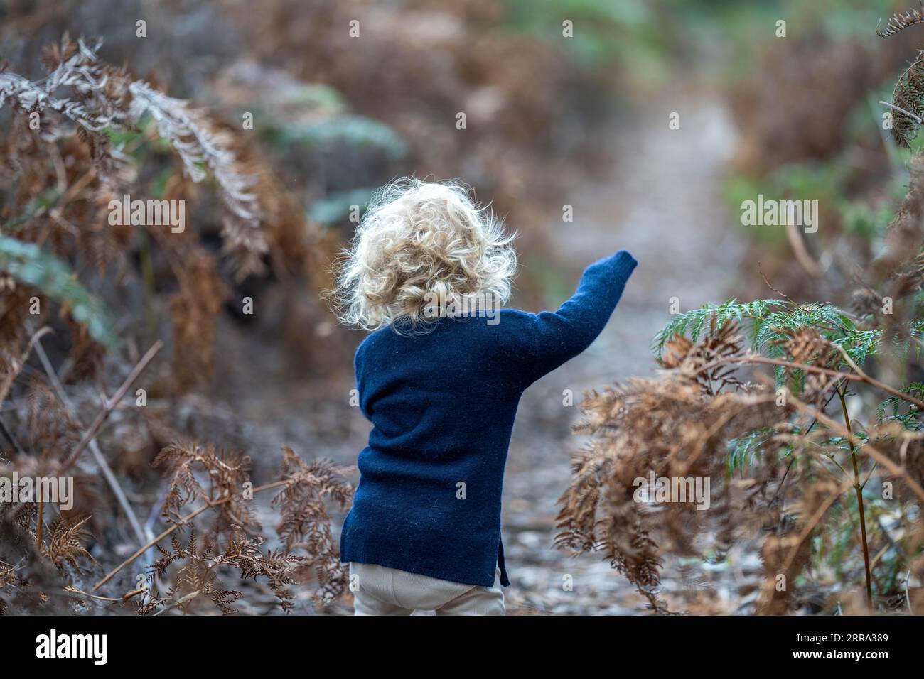 Cute baby girl exploring outdoors hi-res stock photography and images ...