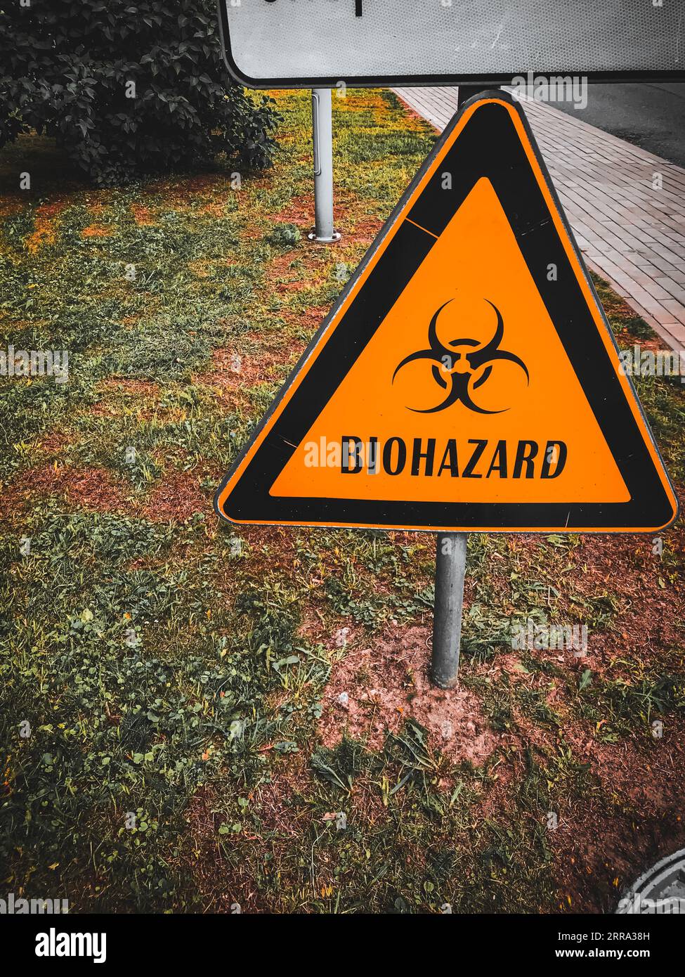 Sign biohazard of biological contamination of danger triangular shape ...