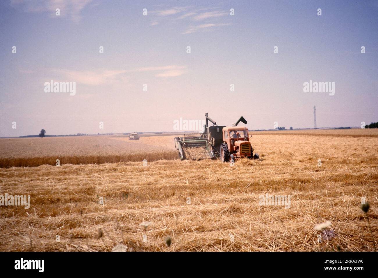 Combine harvester harvesting crop of barley in large field, Pas de ...